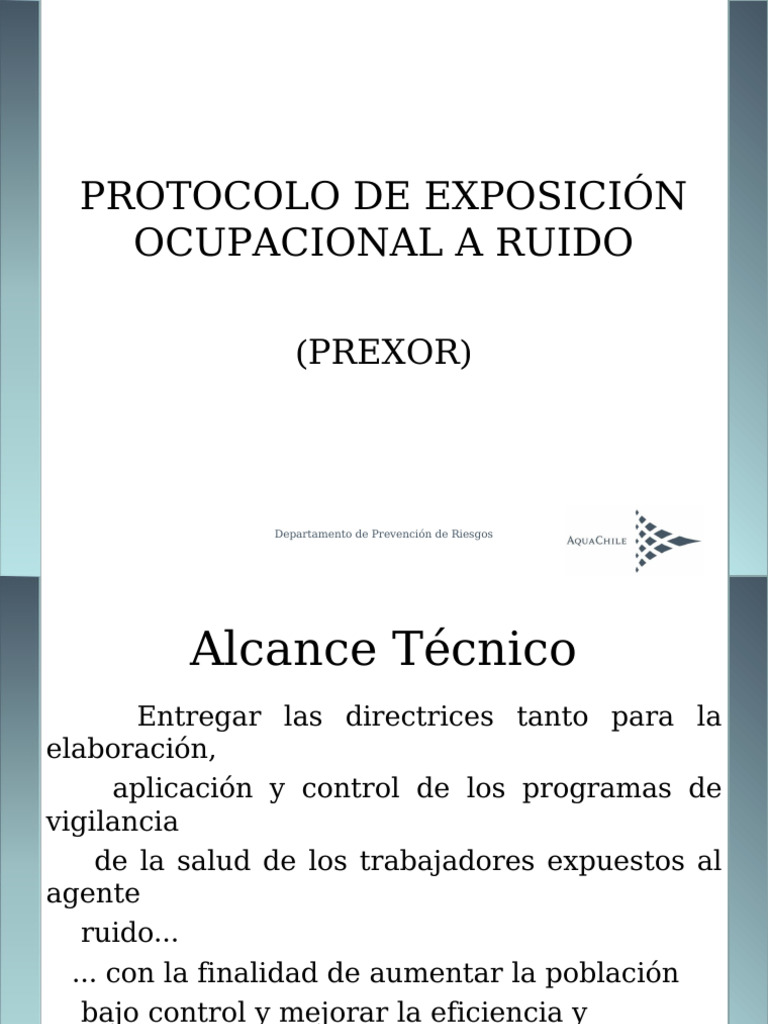 Protocolo de Exposición Ocupacional A Ruido | PDF