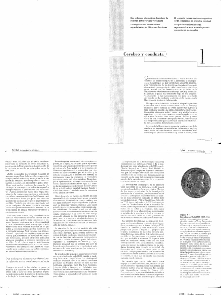 Cerebro y Conducta - Kandel - Schwartz.Jesell | PDF