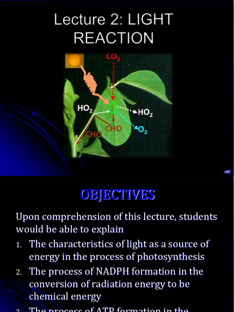 Lect2-Light Reaction-SMP ModifMDM 30agust2017 Ok - Organized | PDF