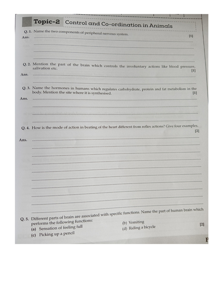 control and coordination.worksheet(2) | PDF