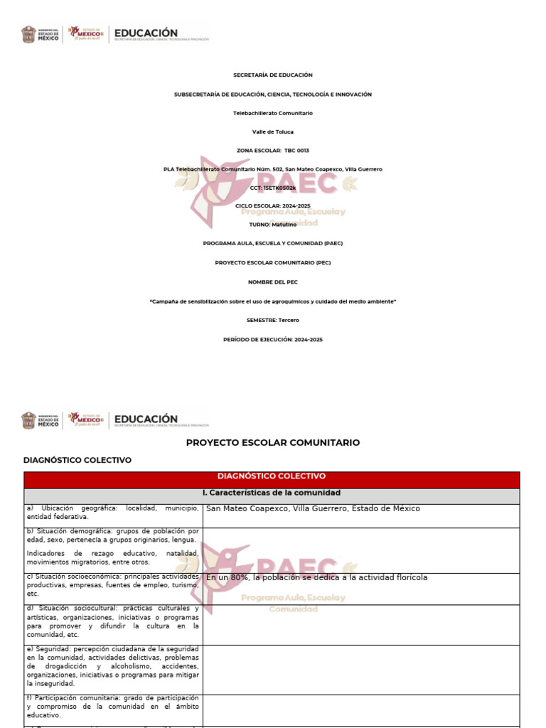 4. Formato oficial para el desarrollo del PEC TBC | PDF