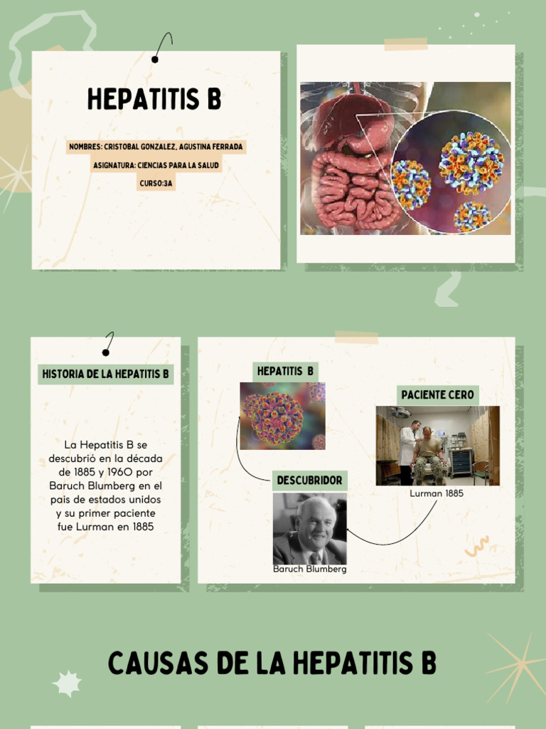 Hepatitis b.pdf (1) | PDF