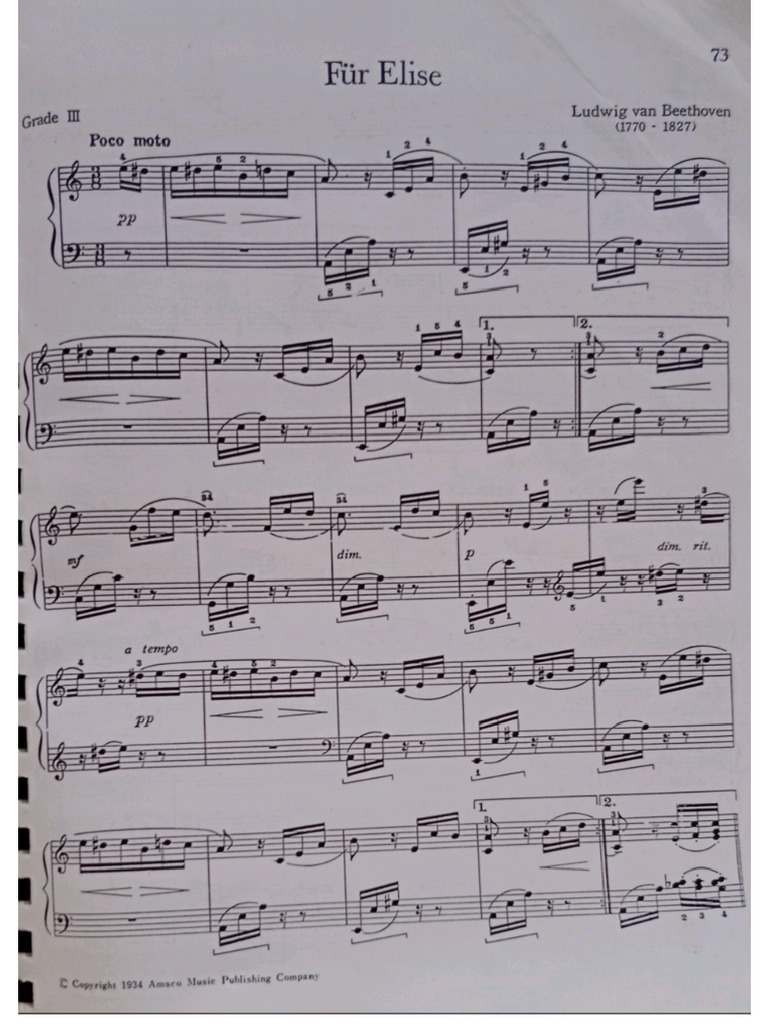 Fur Elise Bremen