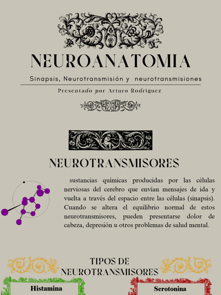 Presentacion de Neuroanatomia | PDF