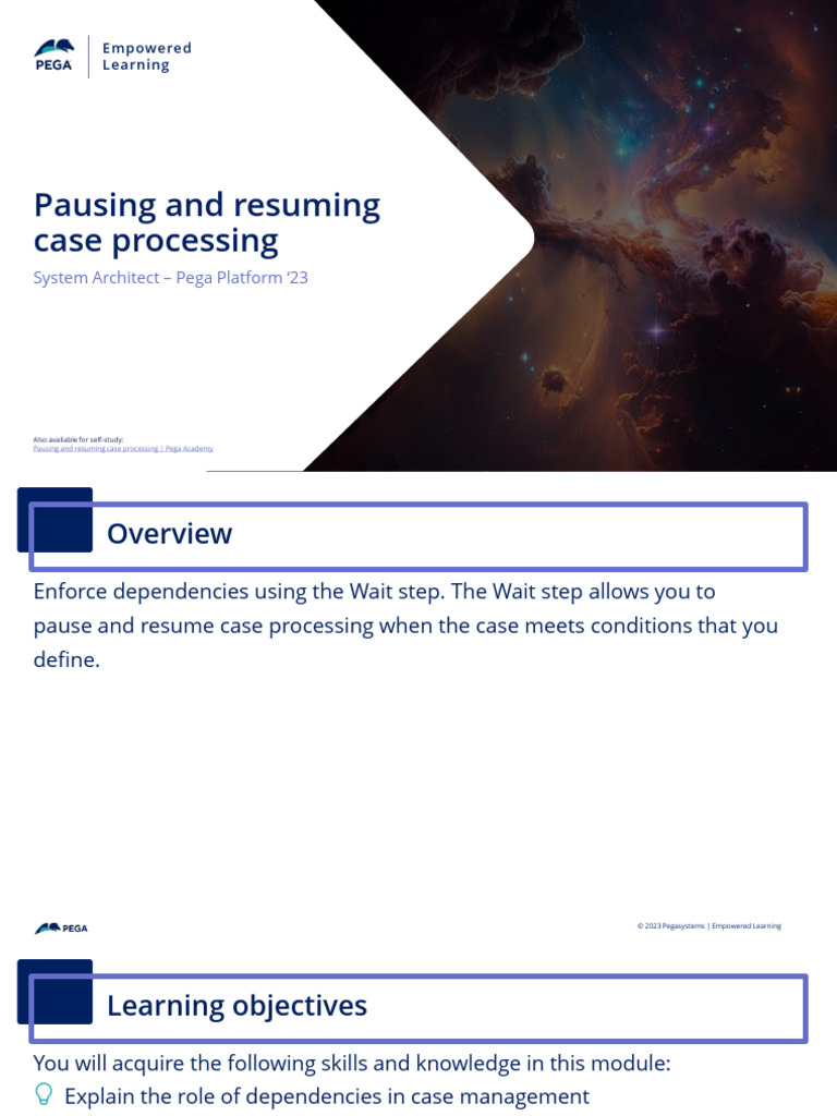 Pausing and Resuming Case Processing | PDF