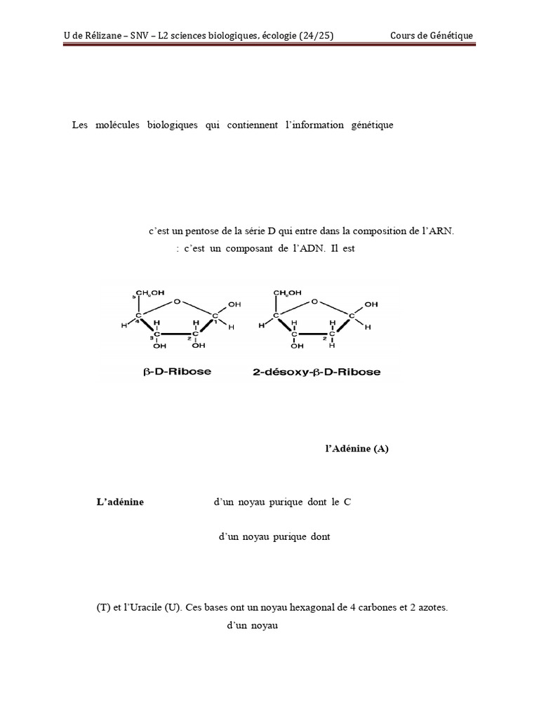 Cours 1 Le Mat Riel G N Tique - PDF Filename UTF 8''cours 1 Le Matériel Génétique | PDF
