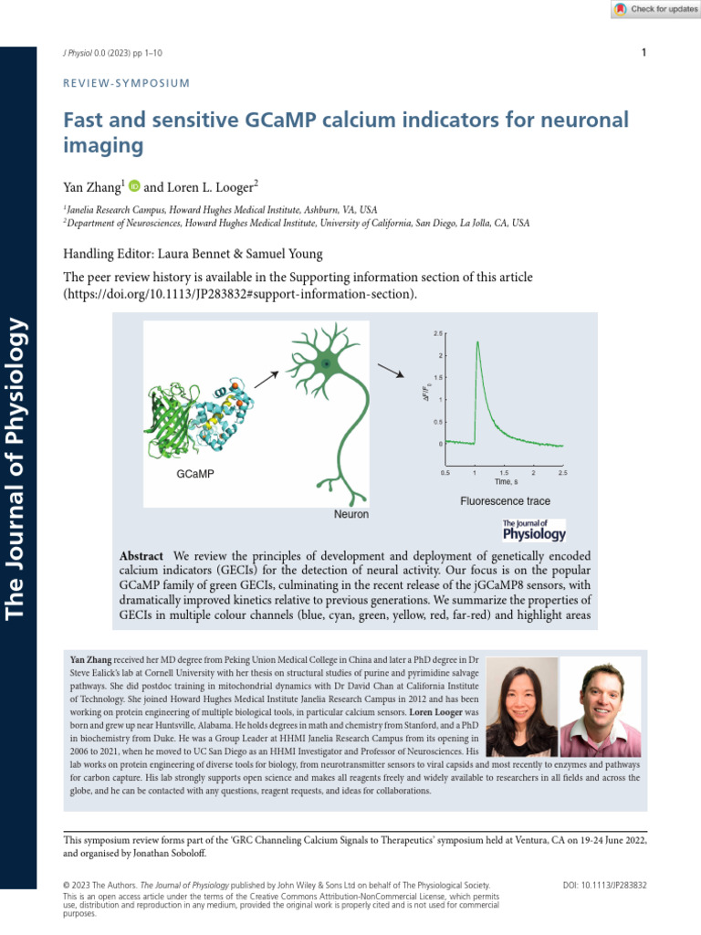 The Journal of Physiology - 2023 - Zhang - Fast and Sensitive GCaMP ...