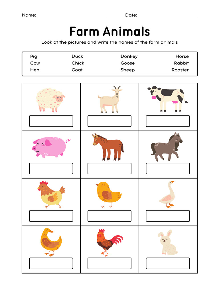 Colorful, Black and White Farm Animals Vocabulary Worksheet | PDF