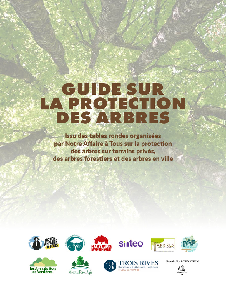 Guide-sur-la-protection-des-arbres-vfinale-16-09-2024 | PDF
