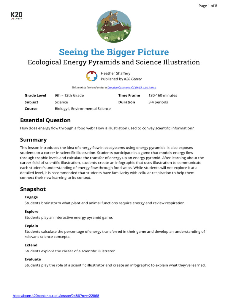 Seeing The Bigger Picture | PDF | Food Web | Science & Mathematics