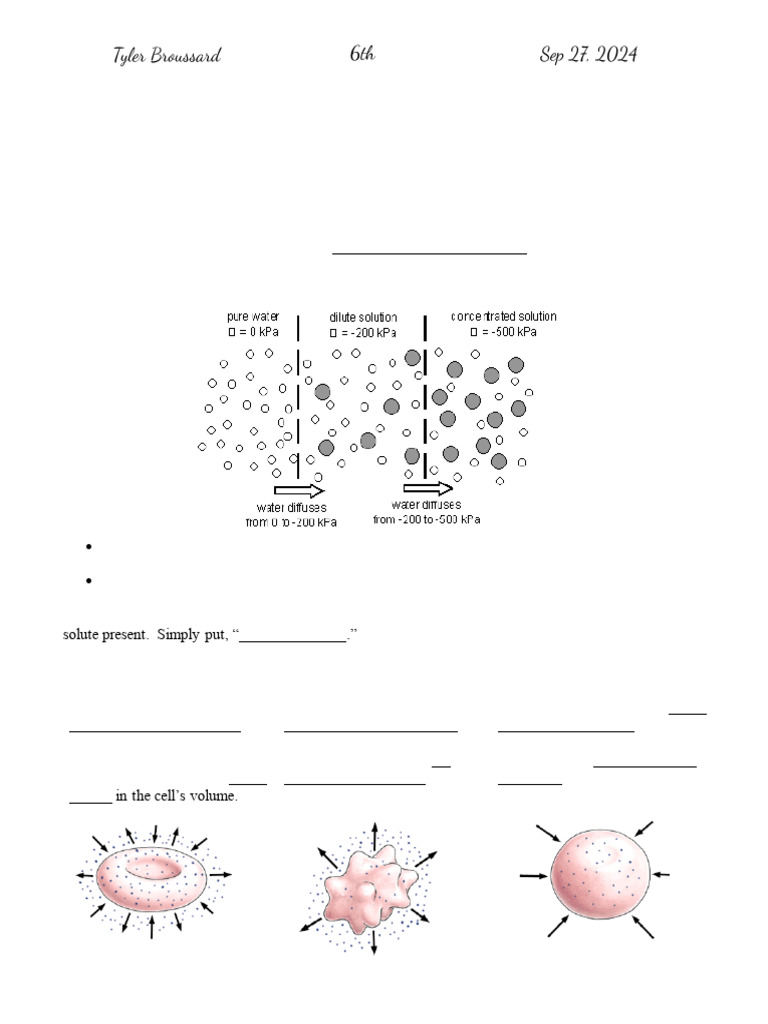 Tyler Broussard - Osmosis and Diffusion Worksheet | PDF