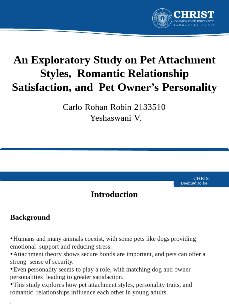 Format For Viva Presentation | PDF