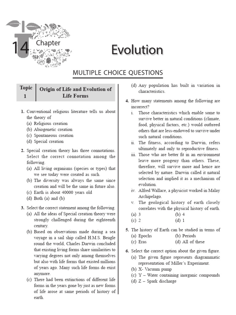 14 - Evolution | PDF