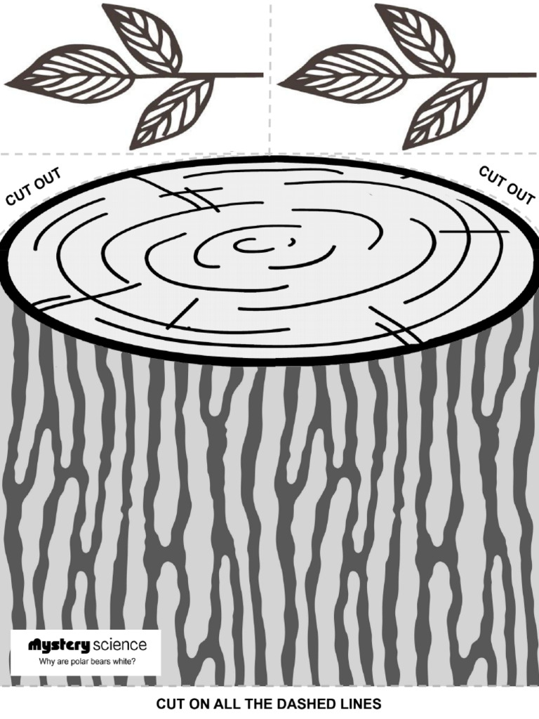 Stump No. 3 | PDF