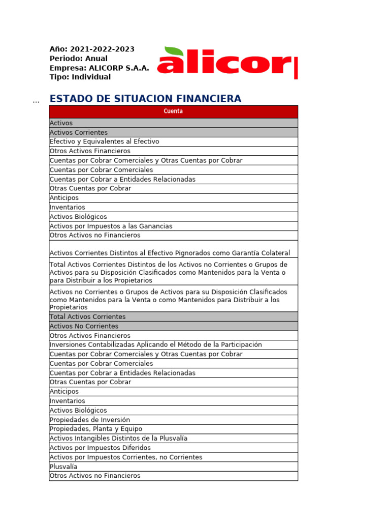 Analisis y Ratios Eefff | PDF