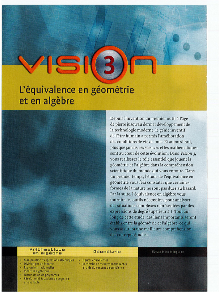 Vision 3 | PDF