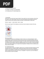 Lung Model With Two Lungs and Diaphragm Lab | PDF