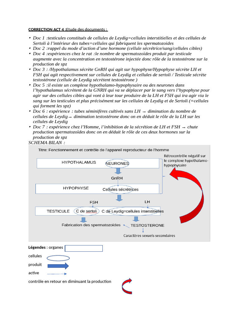 Correction Act 4 | PDF