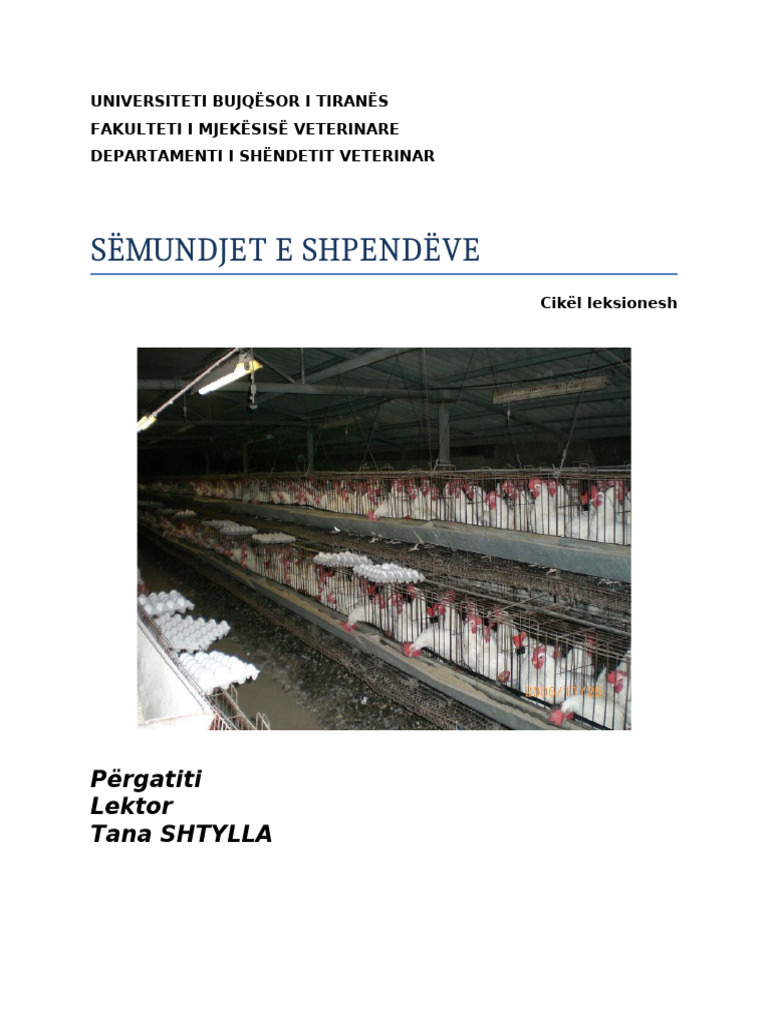 Skripte Shpendet | PDF