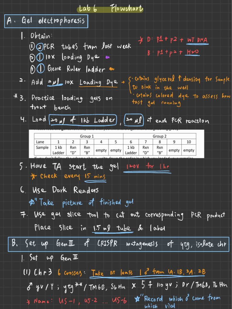 Lab 6 Flowchart | PDF