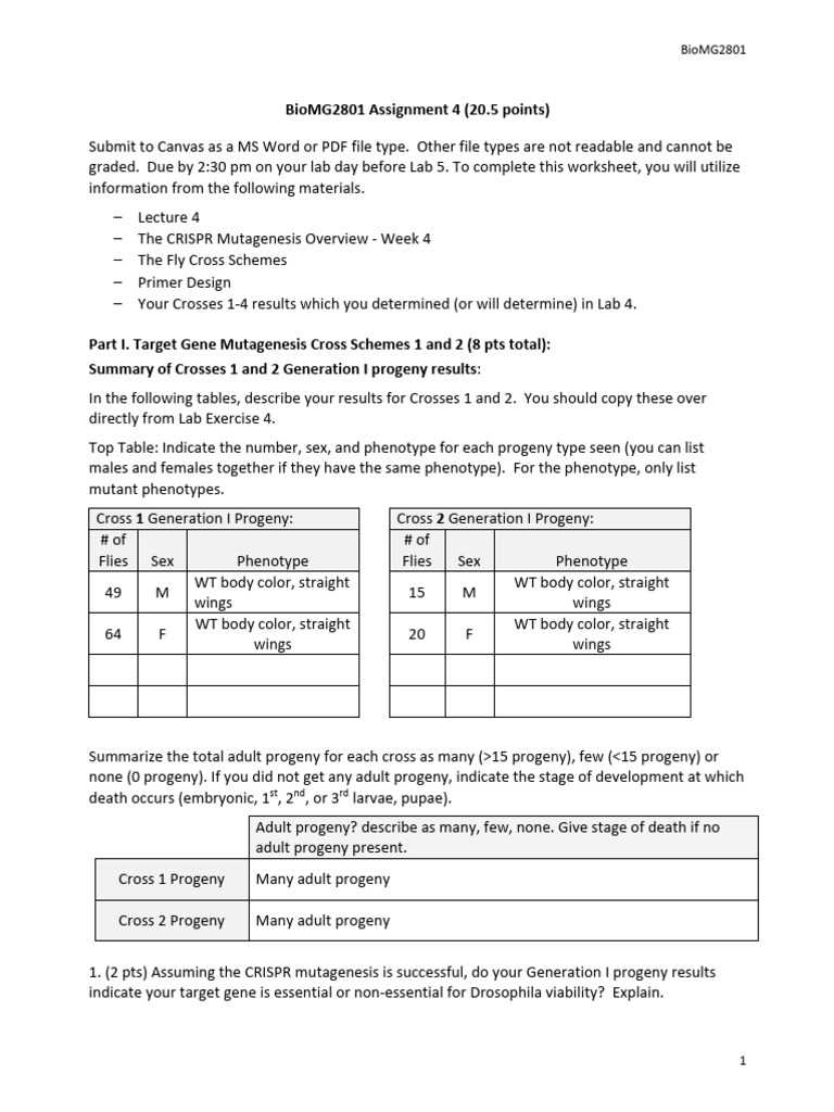Assignment 4 F24 | PDF