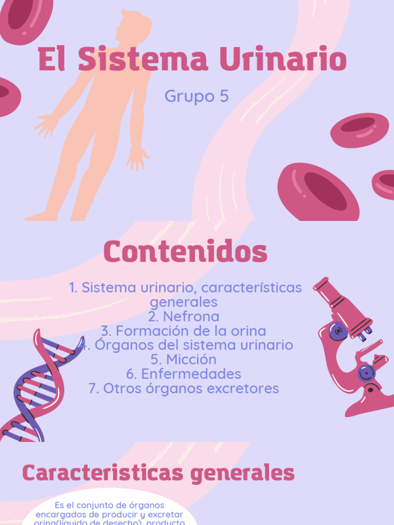 Siste Maurin A Rio | PDF