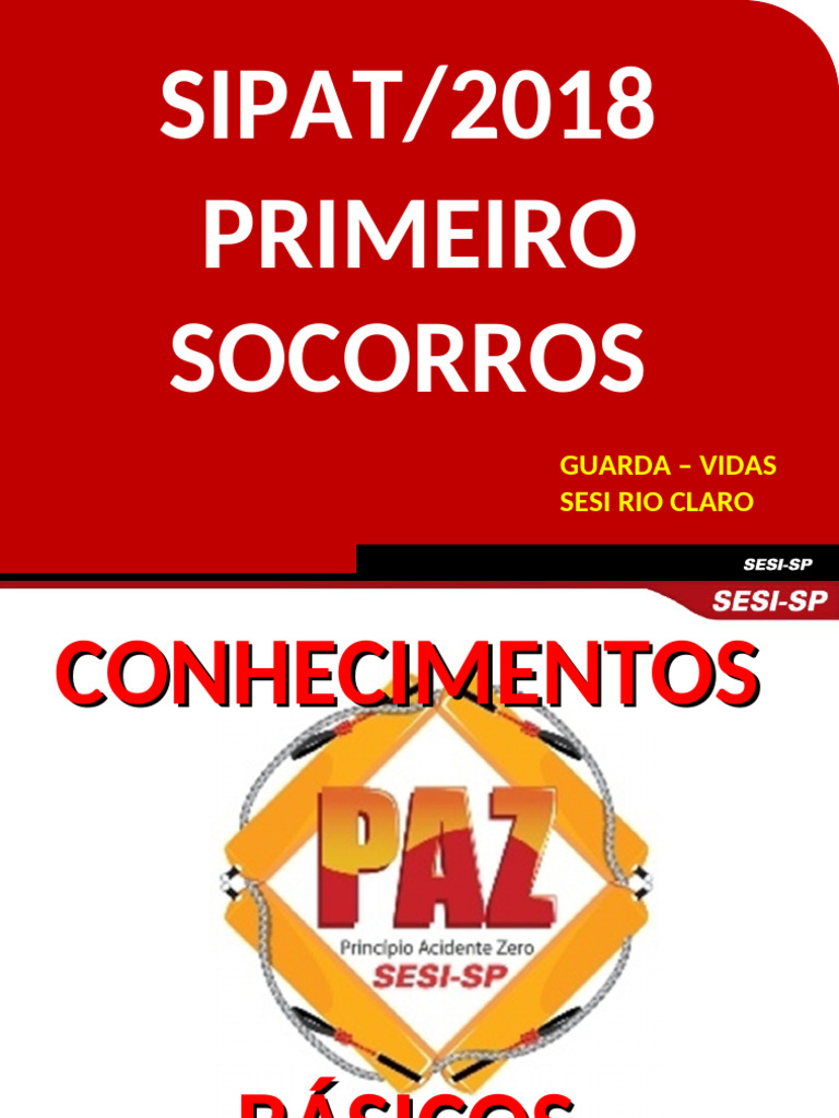 Palestra SIPAT | PDF