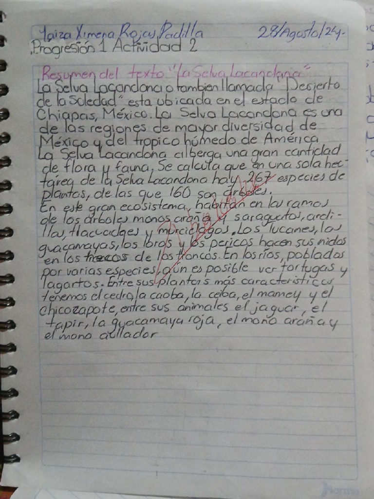 Escaneado 20241002-1904 | PDF