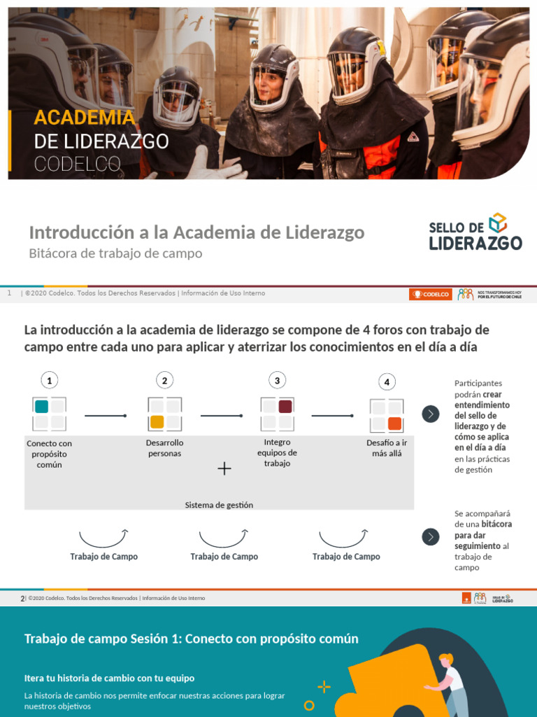 Sesión 4- Bitacora de Trabajo de Campo | PDF