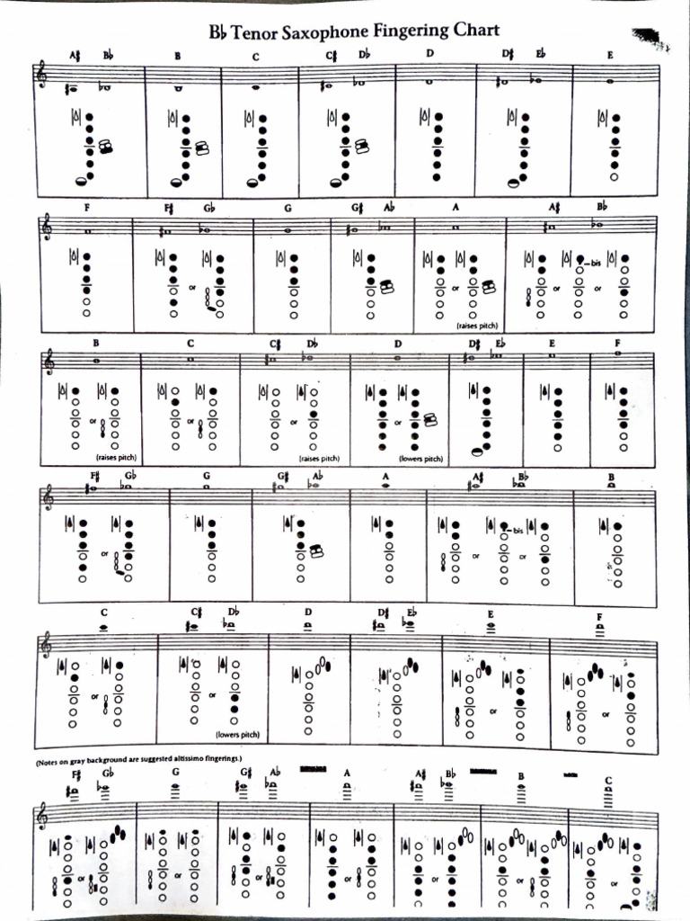 BB Saxophone Fingering | PDF