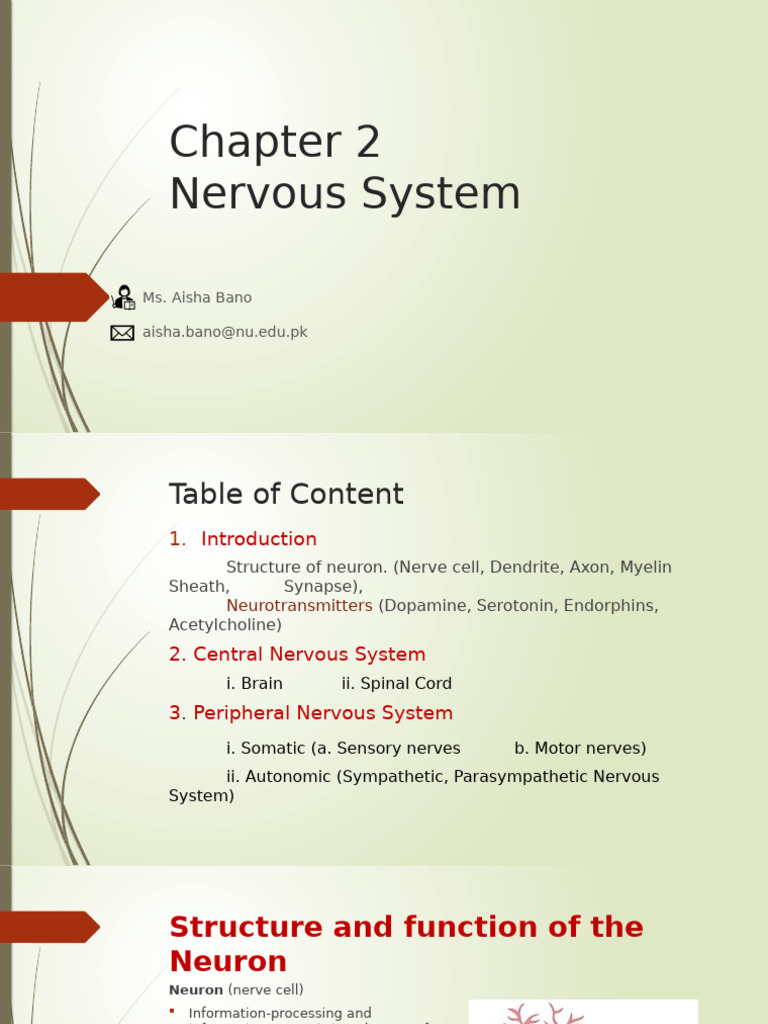2. Chapter 2 NERVOUS SYSTEM (F-24) | PDF