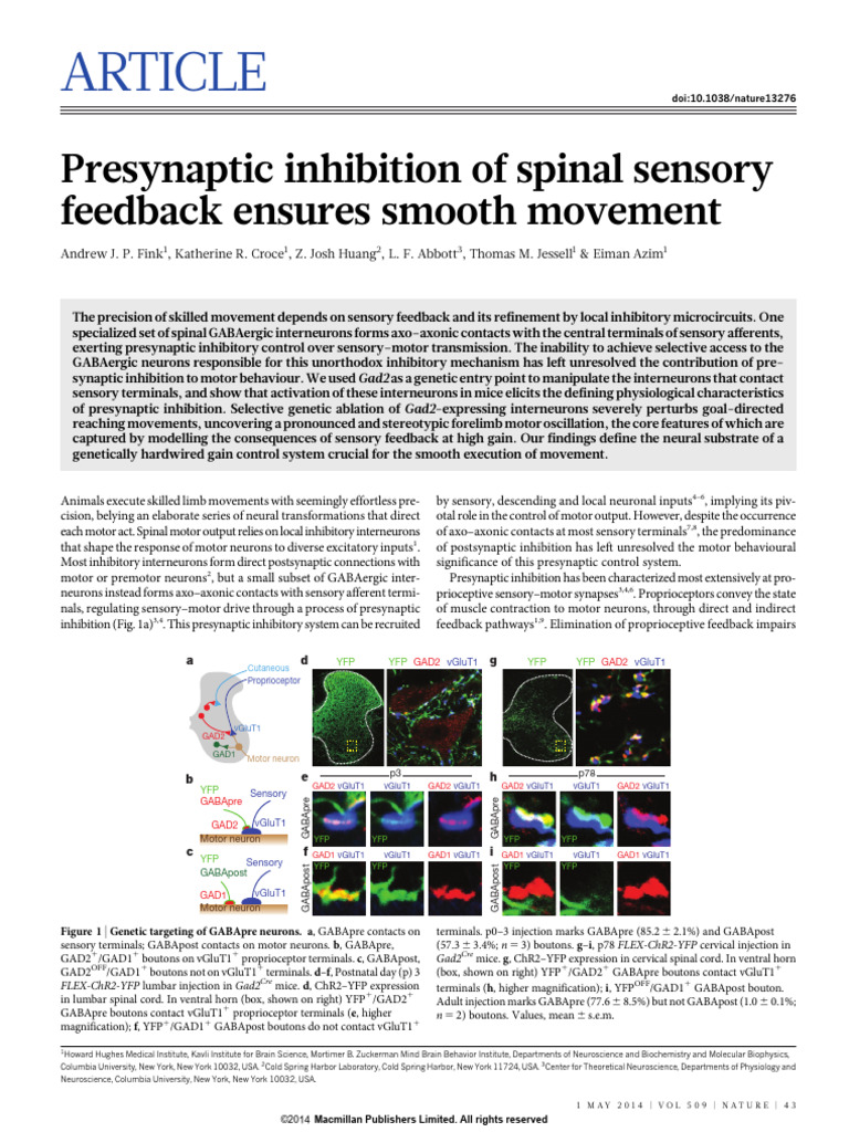 2014_Presynaptic Inhibition of Spinal Sensory Feedback Ensures Smooth ...