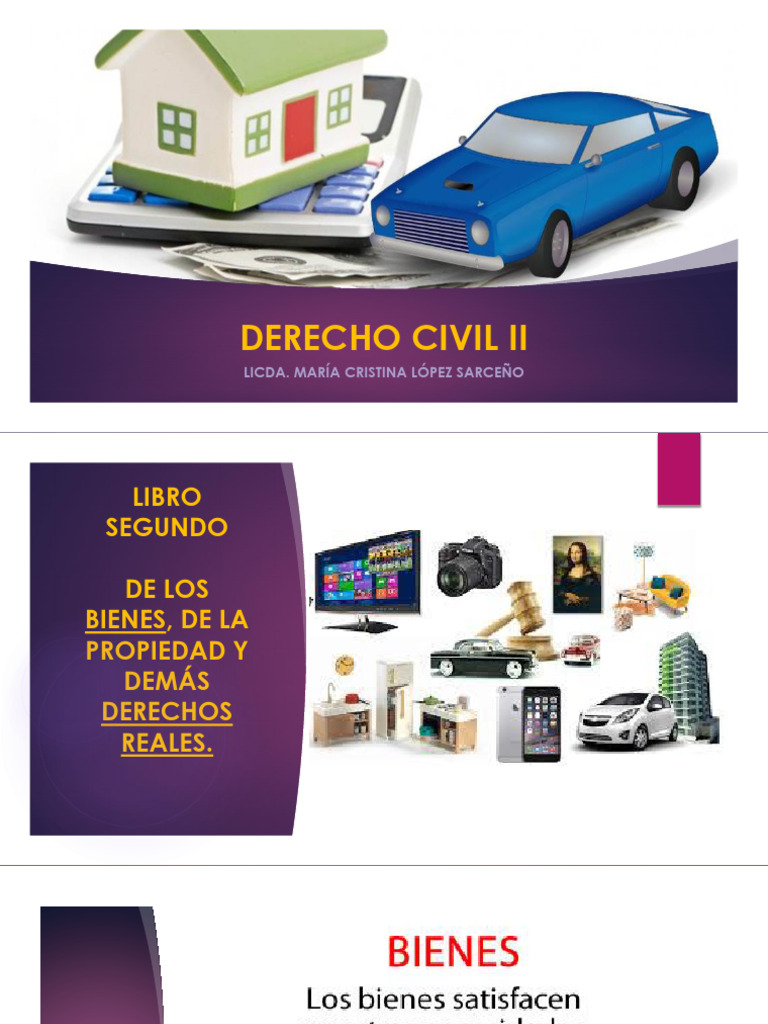 DERECHO CIVIL I CLASIFICACIÓN DE LOS BIENES | PDF