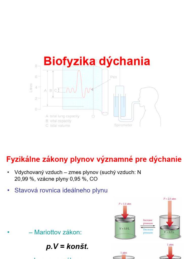 Biofyzika Dychania | PDF