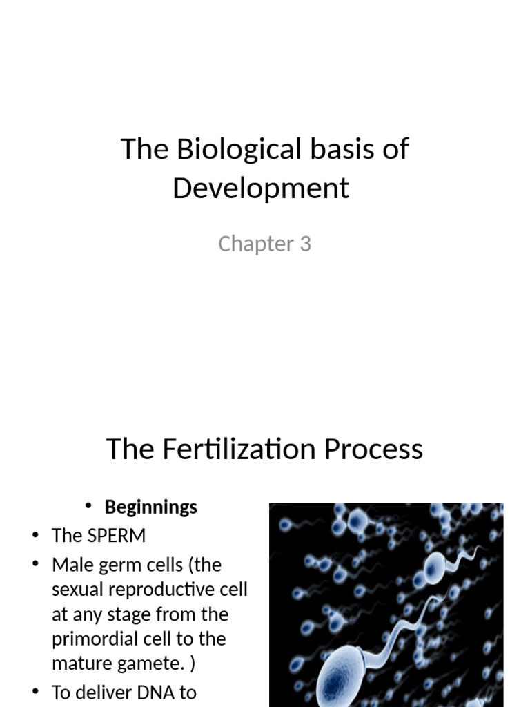 The Biological Basis of Development | PDF