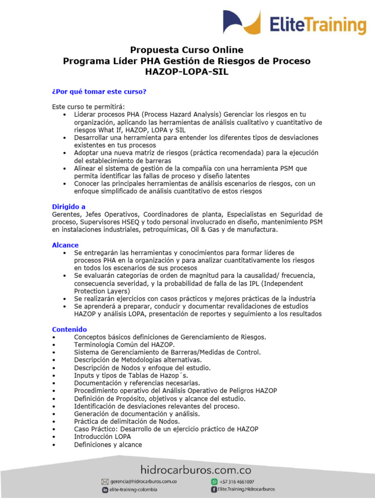 0169 - 2024 - Propuesta PROGRAMA LÍDER PHA WHATIF-HAZOP-LOPA-SIL - VQ | PDF
