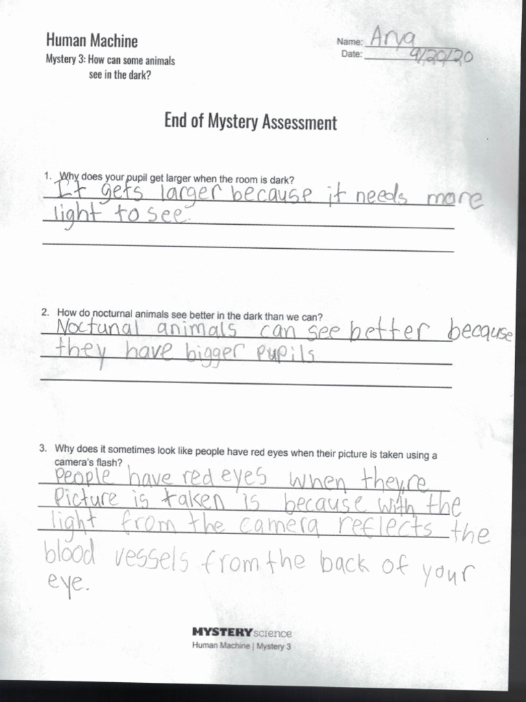 Arya's Mystery Assesment 3 | PDF