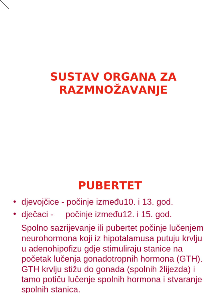 A. SPOLNI SUSTAV-muški, Loomen | PDF