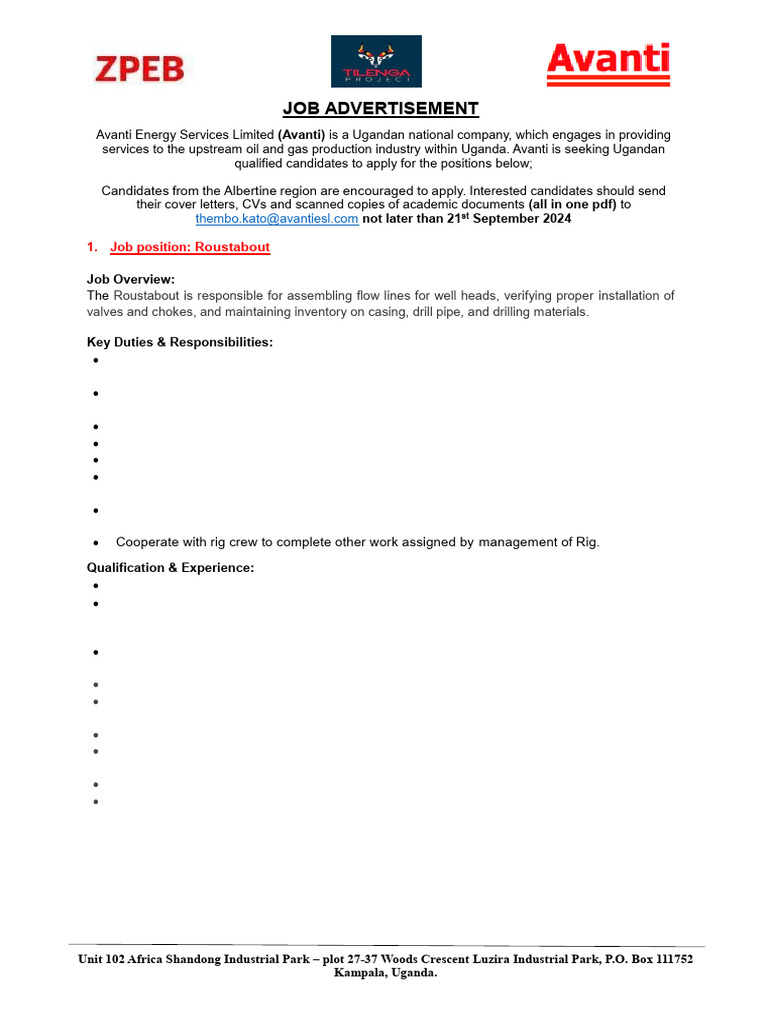 AV-ZPEB Job-Advert | PDF