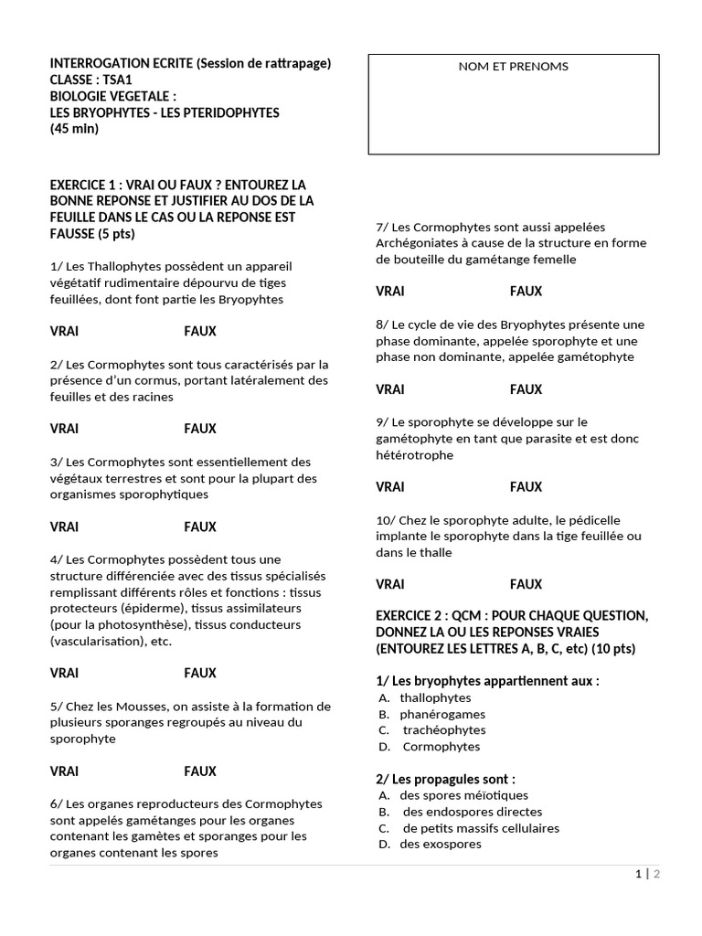 Rattrapage Interrogation Ecrite N°1 | PDF