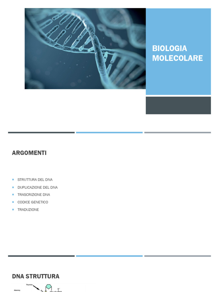 BIOLOGIA MOLECOLARE | PDF