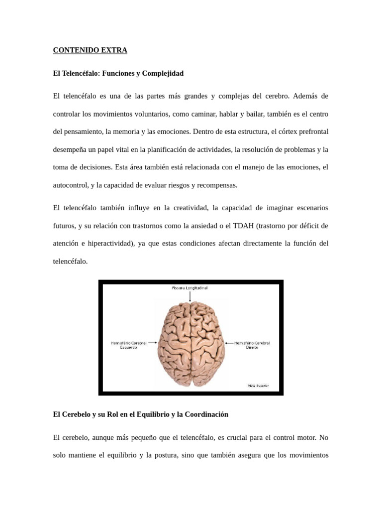 Contenido Extra | PDF