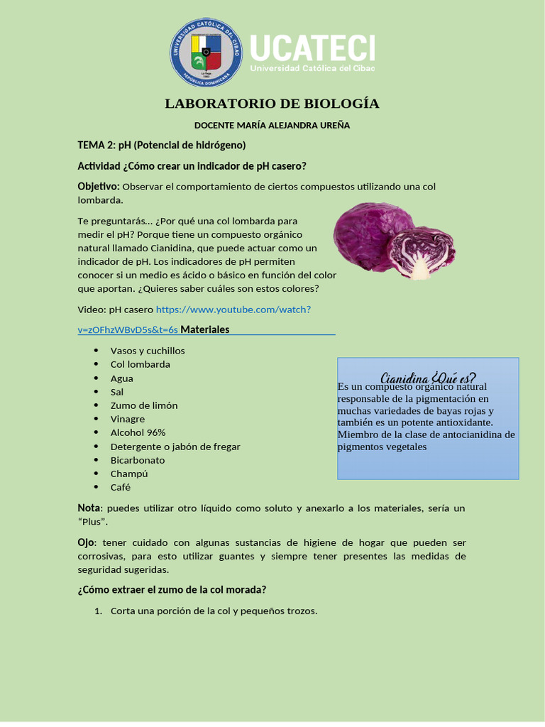 Actividad Práctica Del PH | PDF