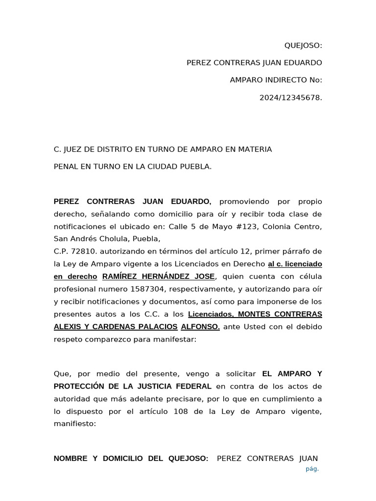 Amparo Indirecto | PDF