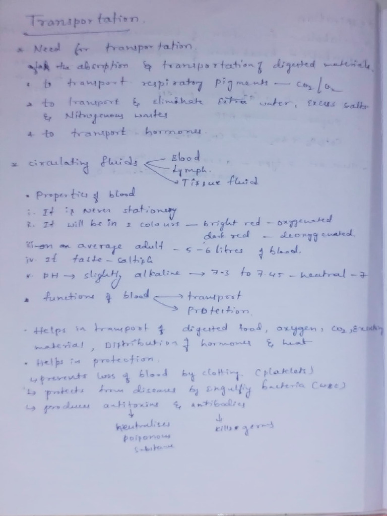 Transport System in Humans | PDF