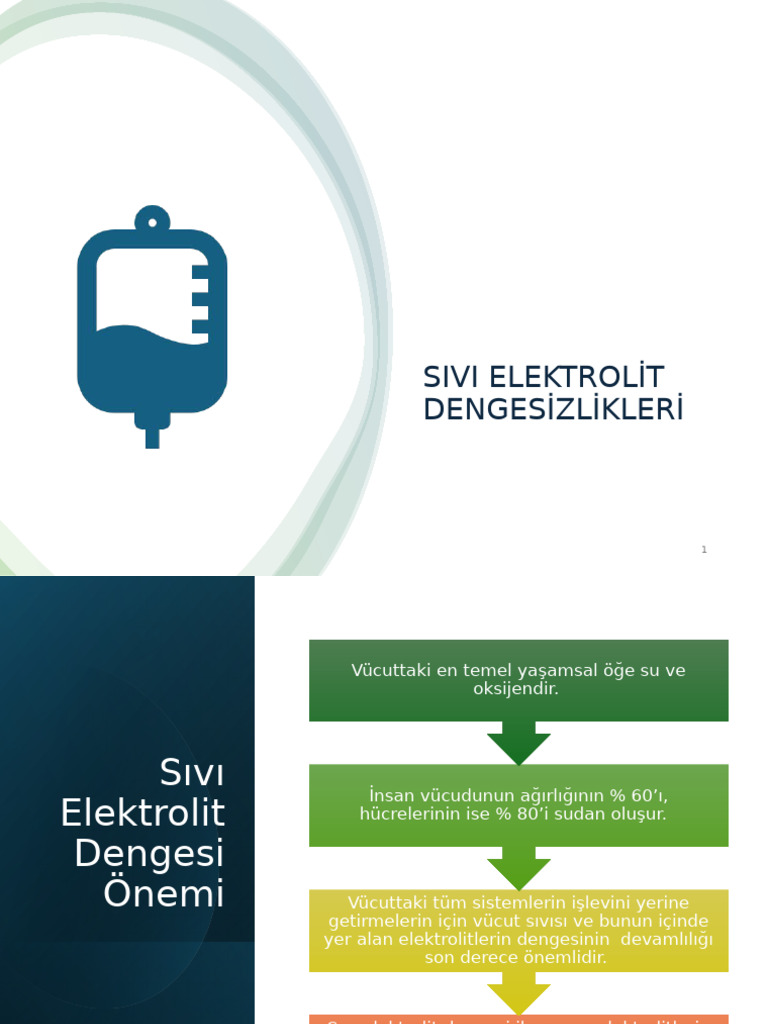 Sivi Elektroli̇t | PDF