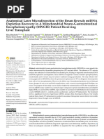 Necpal 40 - 2021 - Esp | PDF