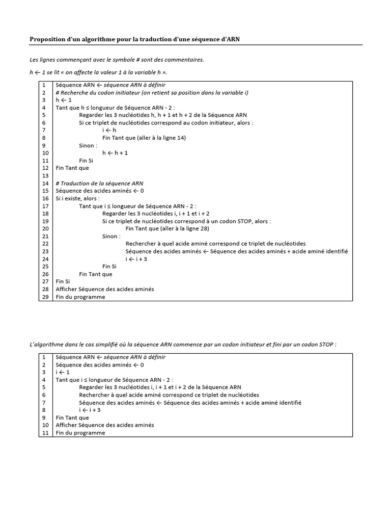 Algorithmes de Traduction D Une Sequence Arn | PDF
