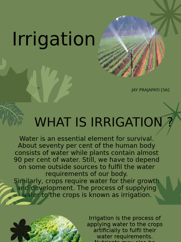 Irrigation | PDF