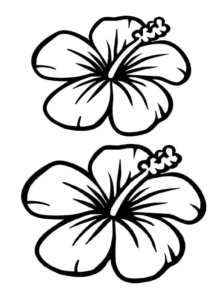 decoracion rapa nui | PDF